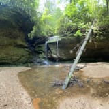 Hidden Arch Trail, Kentucky - 1,081 Reviews, Map | AllTrails