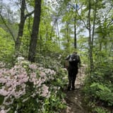 Hidden Arch Trail, Kentucky - 1,081 Reviews, Map | AllTrails
