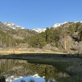 Cub Lake Loop, Colorado - 2,093 Reviews, Map | AllTrails