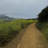Paseo Miramar Trail , California - 2,268 Reviews, Map | AllTrails
