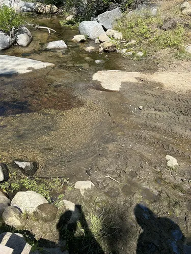 Best Moderate Trails in Three Rivers | AllTrails