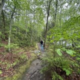 Blackstone Gorge Trail, Massachusetts - 567 Reviews, Map | AllTrails
