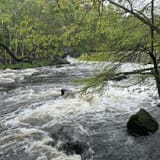 Blackstone Gorge Trail, Massachusetts - 567 Reviews, Map | AllTrails