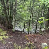Blackstone Gorge Trail, Massachusetts - 567 Reviews, Map | AllTrails