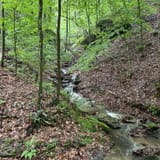 Low Gap Trail , Indiana - 1,445 Reviews, Map | AllTrails