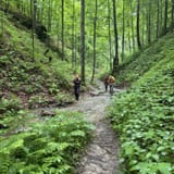 Low Gap Trail , Indiana - 1,445 Reviews, Map | AllTrails