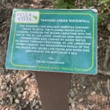 Tanyard Perimeter Loop, Arkansas - 2,700 Reviews, Map | AllTrails