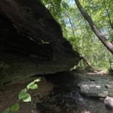 Tanyard Perimeter Loop, Arkansas - 2,700 Reviews, Map | AllTrails