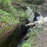 Tanyard Perimeter Loop, Arkansas - 2,700 Reviews, Map | AllTrails