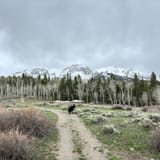 Thomas Lakes Trail, Colorado - 1,419 Reviews, Map | AllTrails