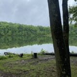 Clopper Lake Shore Trail, Maryland - 2,154 Reviews, Map | AllTrails