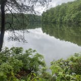 Clopper Lake Shore Trail, Maryland - 2,154 Reviews, Map | AllTrails