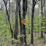 Red Hill Fire Tower Loop Trail, New Hampshire - 1,434 Reviews, Map ...