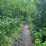 Jones Bridge Trail , Georgia - 2,722 Reviews, Map | AllTrails