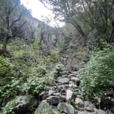 Marble Falls Trail, California - 1,893 Reviews, Map | AllTrails
