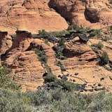 Butterfly, Lava Flow Overlook, West Canyon, and Petrified Dunes Loop ...