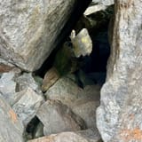 Mount Morgan and Mount Percival Loop, New Hampshire - 3,618 Reviews ...