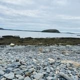 Bar Harbor Shore Path, Maine - 1,049 Reviews, Map | AllTrails