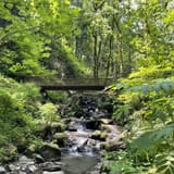 Lower Macleay Park to Pittock Mansion, Oregon - 4,438 Reviews, Map ...