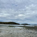 Bar Island Trail, Maine - 2,857 Reviews, Map | AllTrails