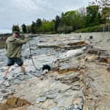Bar Harbor Shore Path, Maine - 1,049 Reviews, Map | AllTrails