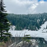 Ira Spring Memorial Trail, Washington - 2,104 Reviews, Map | AllTrails