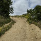 Fryman Canyon Trail, California - 6,374 Reviews, Map | AllTrails