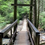 Edward's Point Trail, Tennessee - 2,567 Reviews, Map | AllTrails