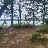 Point Defiance Park Outer Loop, Washington - 4,018 Reviews, Map | AllTrails