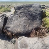 Grimes Point Petroglyphs, Nevada - 72 Reviews, Map | AllTrails