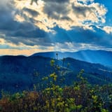 Sam Knob Trail, North Carolina - 1,453 Reviews, Map | AllTrails