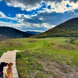 Sam Knob Trail, North Carolina - 1,453 Reviews, Map | AllTrails