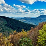 Sam Knob Trail, North Carolina - 1,453 Reviews, Map | AllTrails