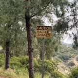 Observatory Trail Extended Loop, California - 1,748 Reviews, Map ...
