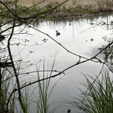 Haggetts Rail Trail to Haggetts Pond, Massachusetts - 409 Reviews, Map ...