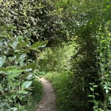 Jones Bridge Trail , Georgia - 2,722 Reviews, Map | AllTrails