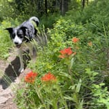 Mount Emily Recreation Area Loop, Oregon - 246 Reviews, Map | AllTrails