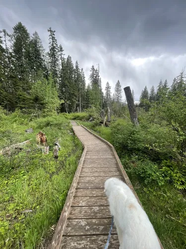 Best Kid Friendly Trails in Hayden | AllTrails