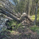 Little Traverse Lake, Michigan - 49 Reviews, Map | AllTrails