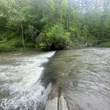 Elk River Falls Trail, North Carolina - 704 Reviews, Map | AllTrails