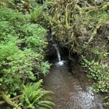 Dimple Hill and Horse Trail Loop, Oregon - 332 Reviews, Map | AllTrails