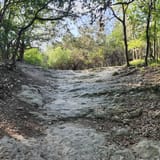 McAllister Park Blue Loop Trail, Texas - 1,945 Reviews, Map | AllTrails