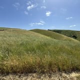 High Ridge and Pioneer Trail Loop, California - 256 Reviews, Map ...