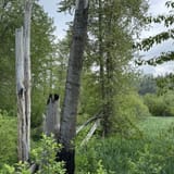 Painted Rocks Nature Trail, Washington - 715 Reviews, Map | AllTrails