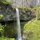 Shellburg Falls Trail, Oregon - 791 Reviews, Map | AllTrails
