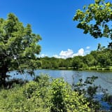 Bee Tree Lake Loop, Missouri - 546 Reviews, Map | AllTrails