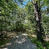 Bee Tree Lake Loop, Missouri - 546 Reviews, Map | AllTrails