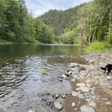Wilson River Trail, Oregon - 654 Reviews, Map | AllTrails