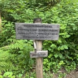 Wilson River Trail, Oregon - 654 Reviews, Map | AllTrails