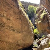 Moses Spring and Rim Trail Loop, California - 2,553 Reviews, Map ...